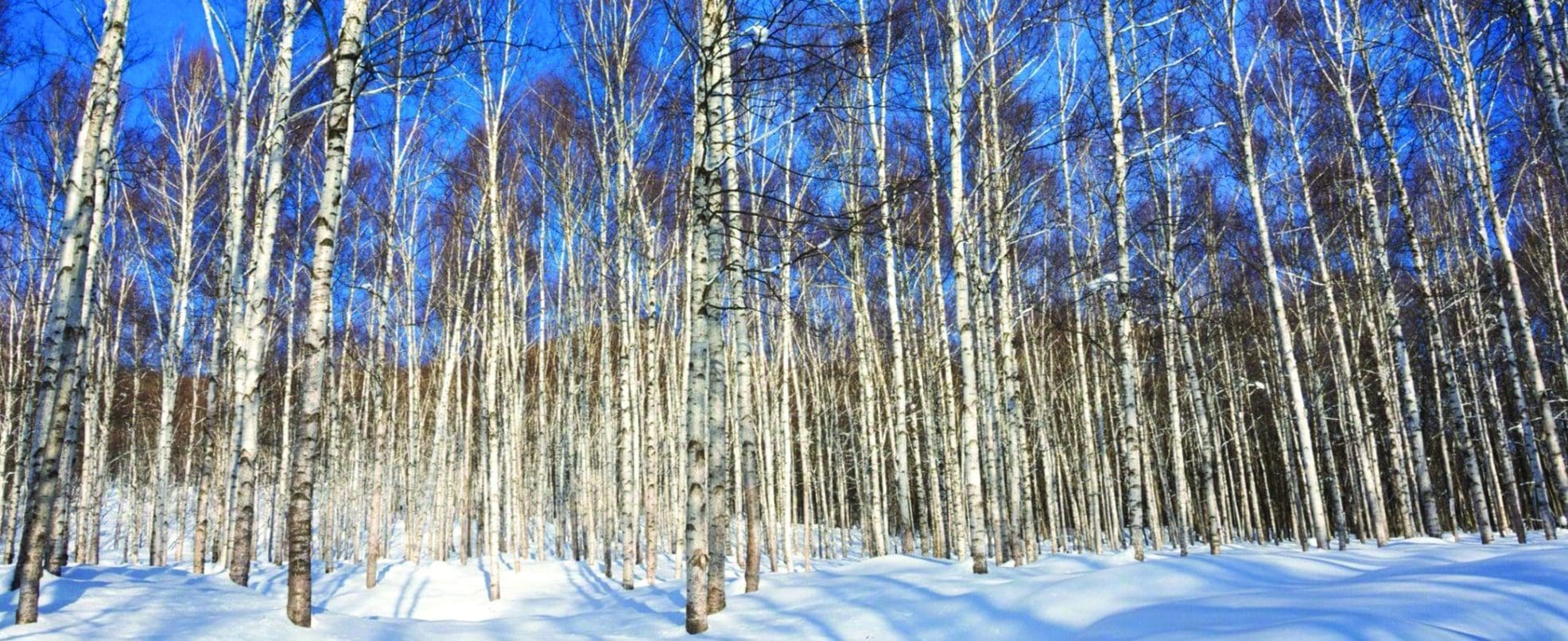 Press Releases & Media - TITAN LLC